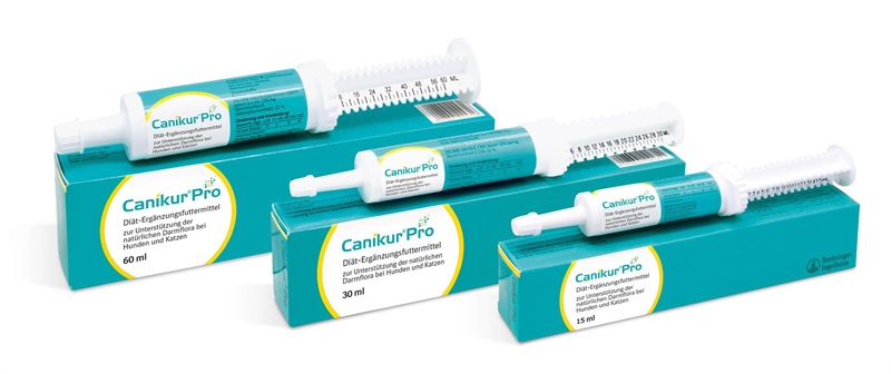 Canikur Pro Paste online kaufen bei Apothekenbote.at - Ihre ...